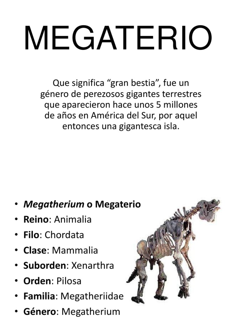 Megaterio 2 | PDF
