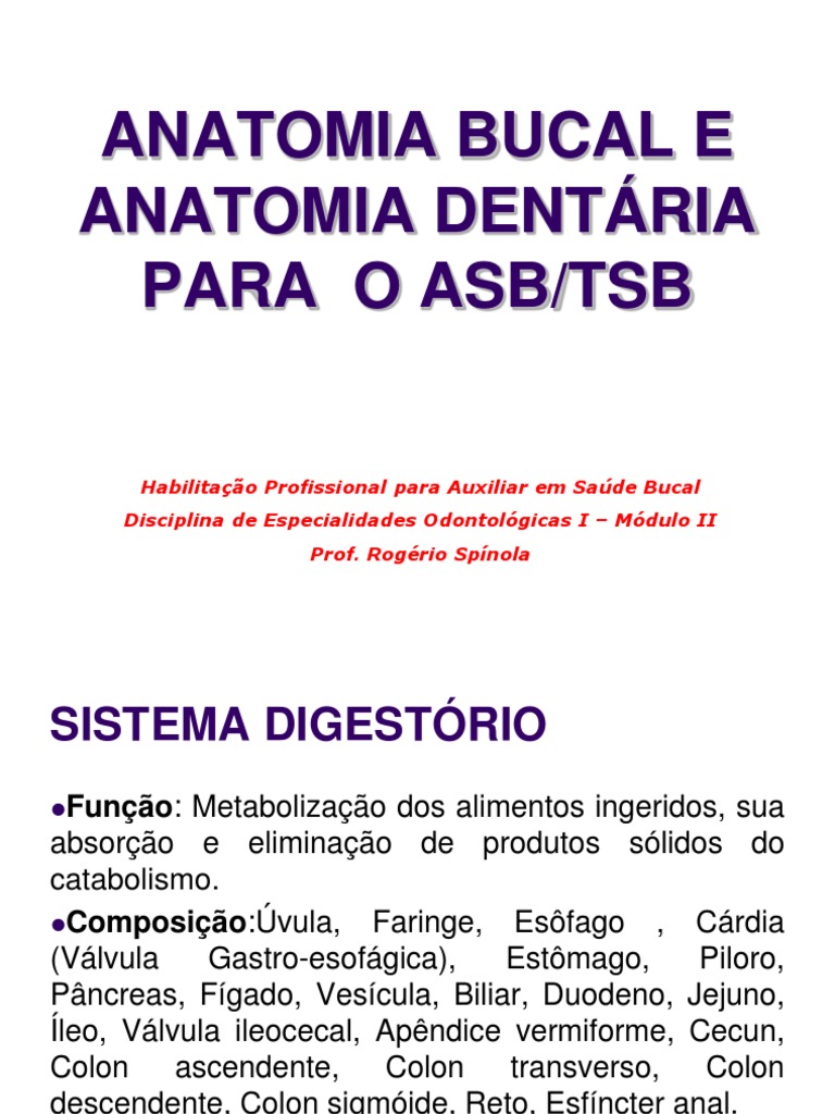 Anatomia Bucal e Dentária para ASB/TSB | PDF | Dente | Boca