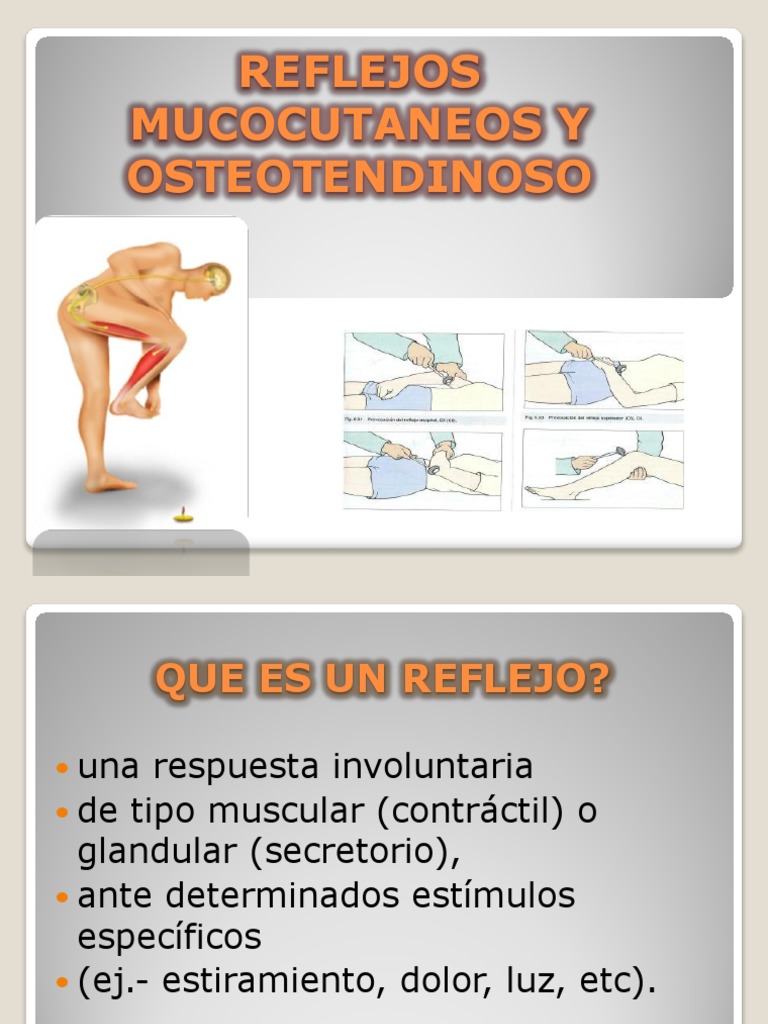 Reflejos Mucocutaneos y Osteotendinoso