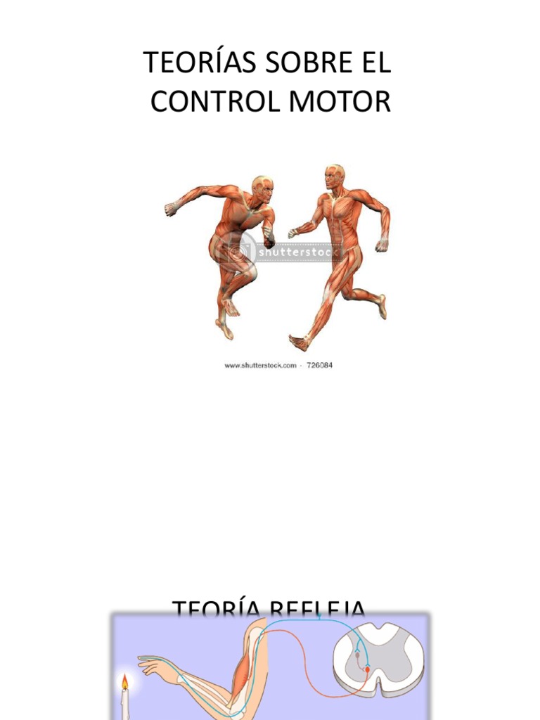Teorias Sobre El Control Motor | Movimiento (física) | Percepción