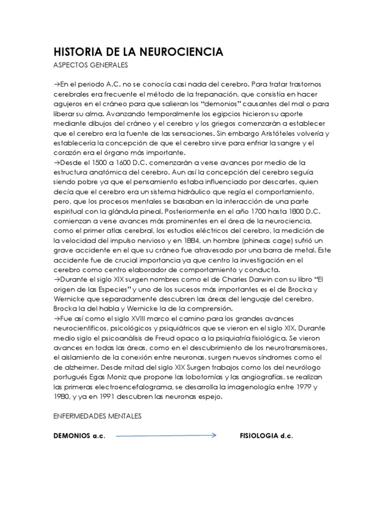 Historia de La Neurociencia | PDF | Cerebro | Percepción visual