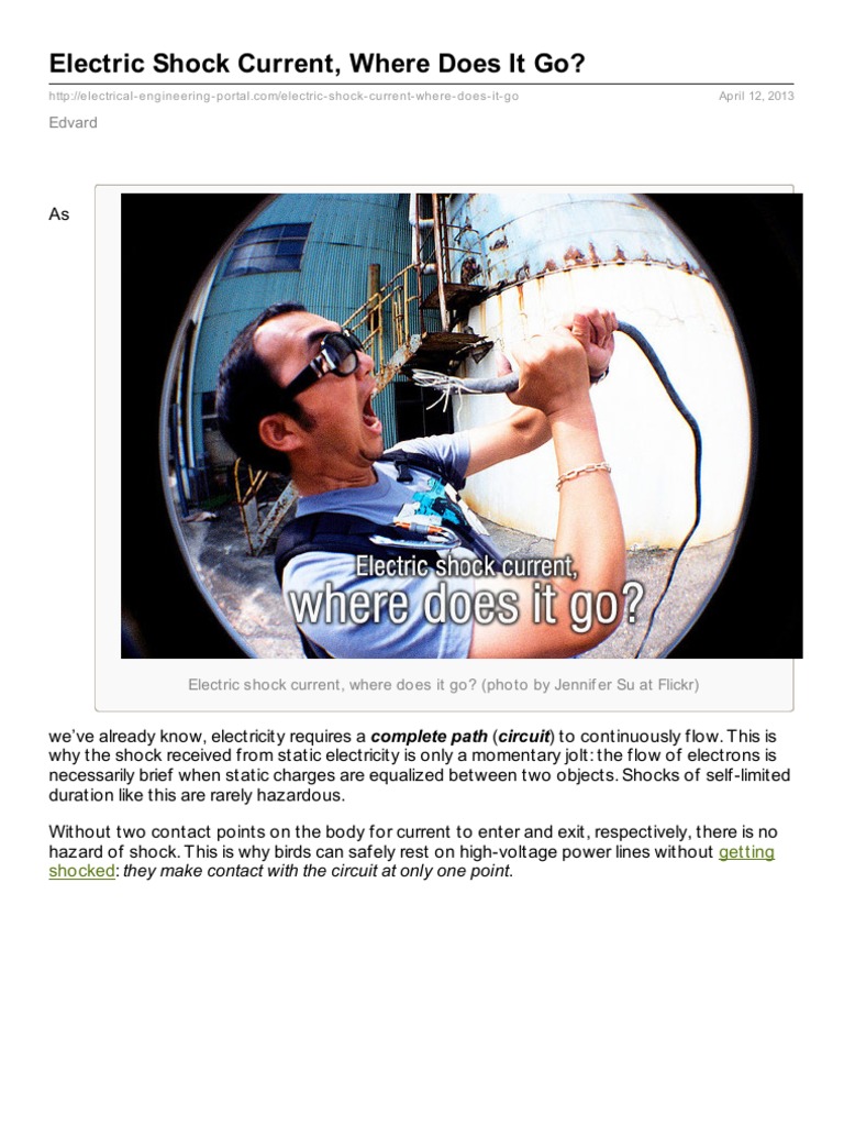 Understanding Electric Shock Current Paths | PDF | Insulator ...