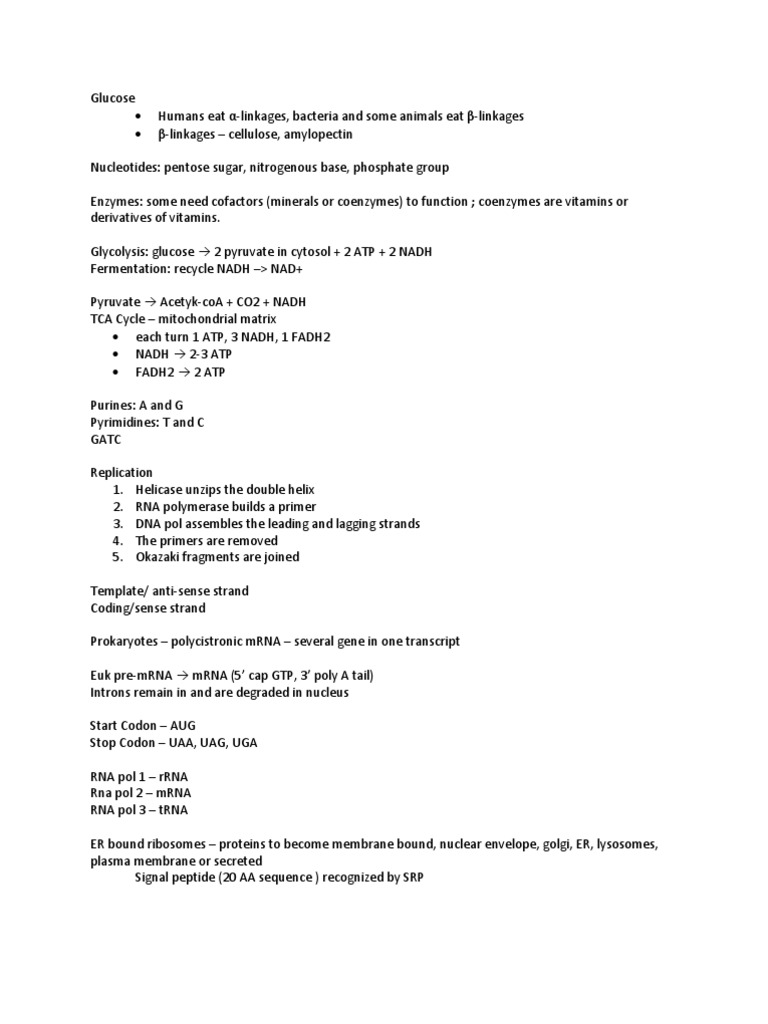 Bio MCAT Notes | PDF