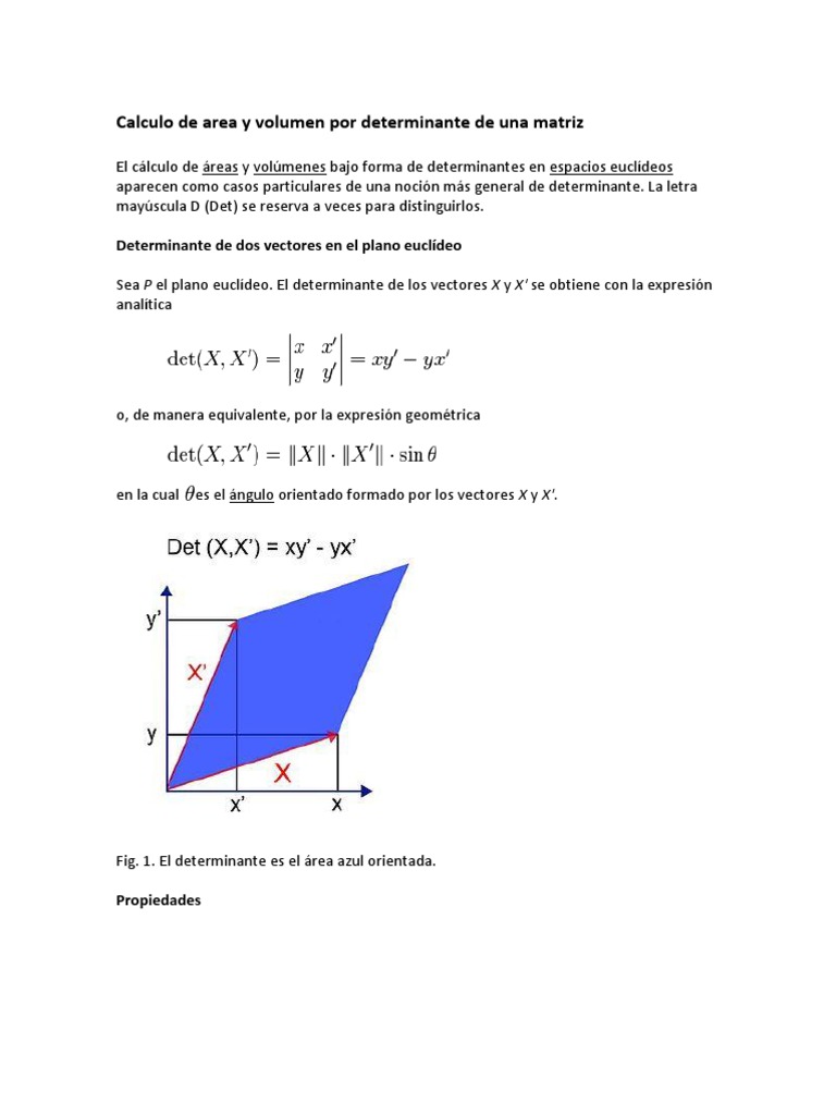 Calculo de Area y Volumen | PDF | Determinante | Vector Euclidiano