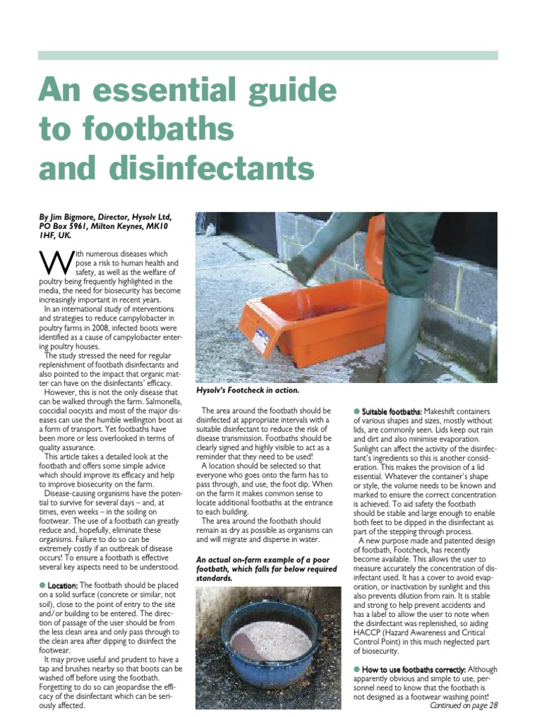 Effective Biosecurity with Footbaths | PDF | Disinfectant | Poultry Farming