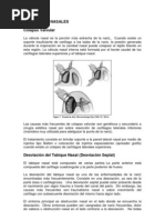 Qué Es Un Tabique Nasal Perforado | PDF | Cirugía | Cocaína