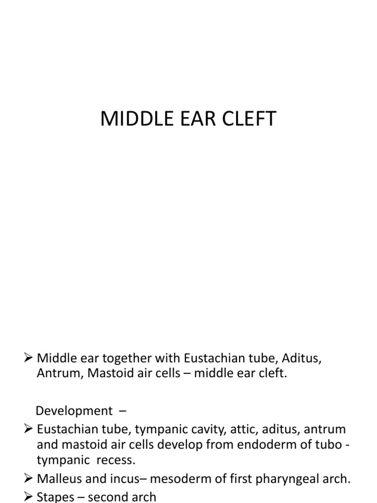 Middle Ear Cleft | PDF | Ear | Facial Features