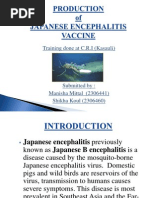Hanifin and Rajka Diagnostic Criteria For Atopic Dermatitis | PDF ...