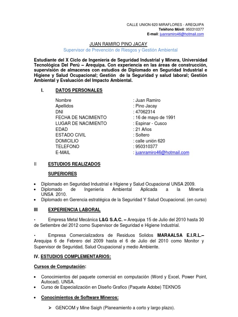 Cv. Ramiro Pino | PDF | Minería | Science