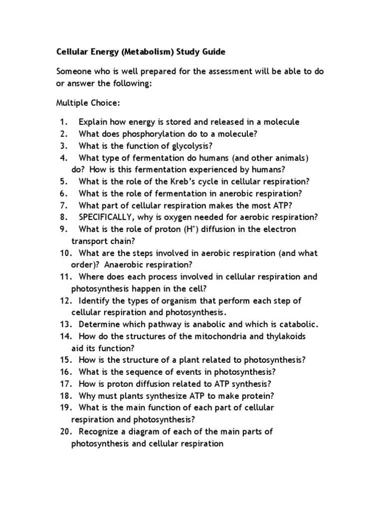 Cellular Energy (Metabolism) Study Guide | PDF