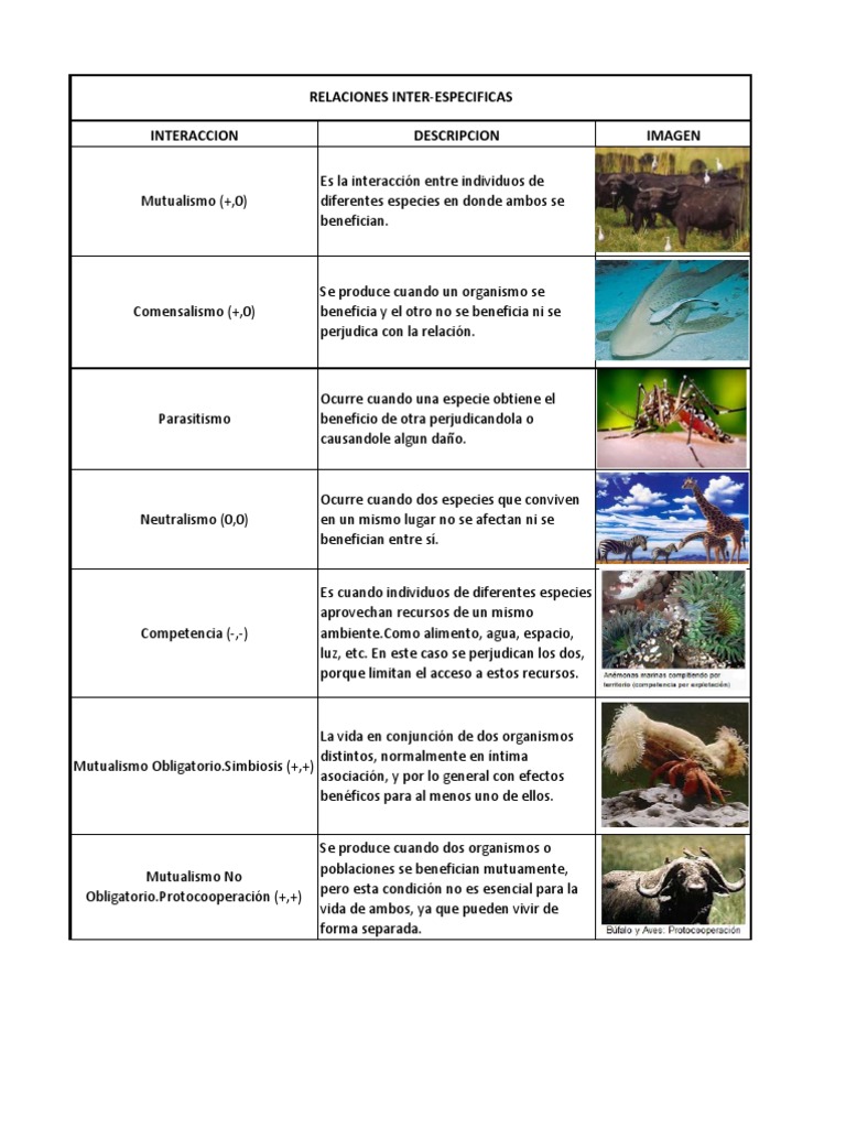 Interacciones Inter e Intra Especificas | PDF | Depredación | Mimetismo