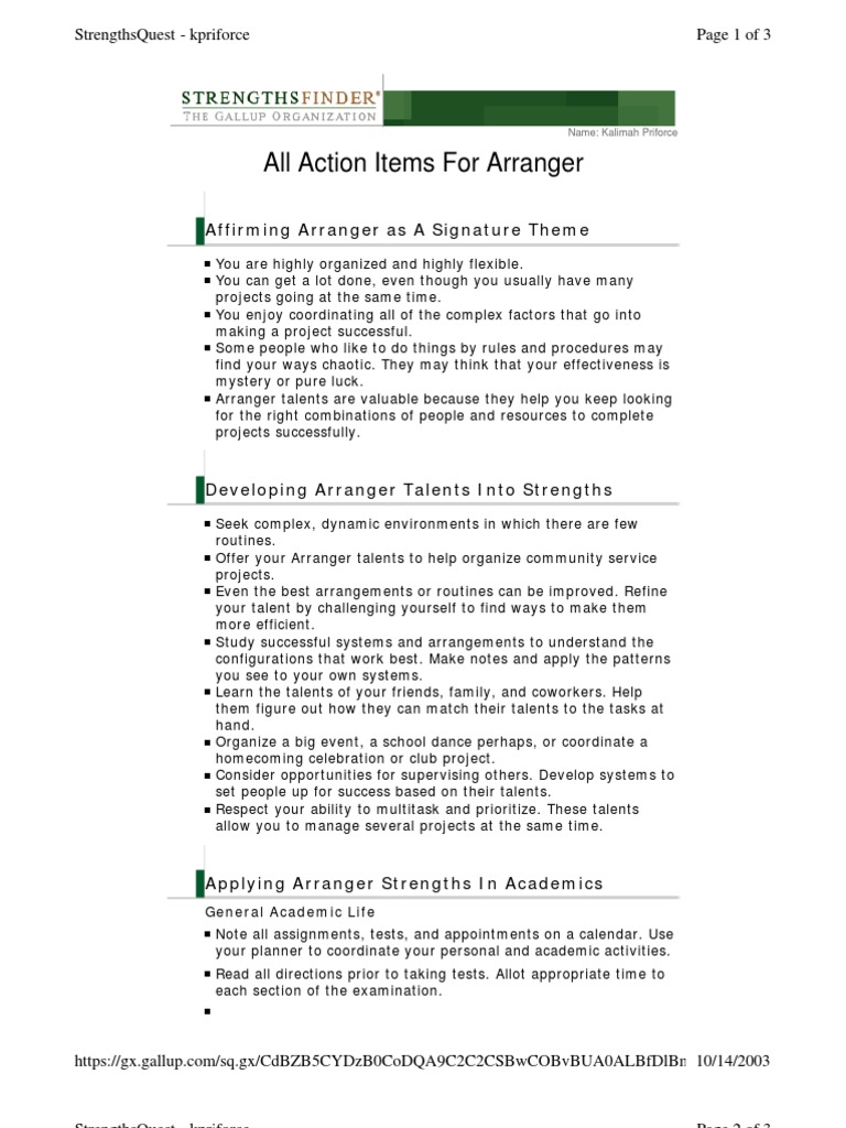 Arranger Action Plan | PDF | Change | Test (Assessment)