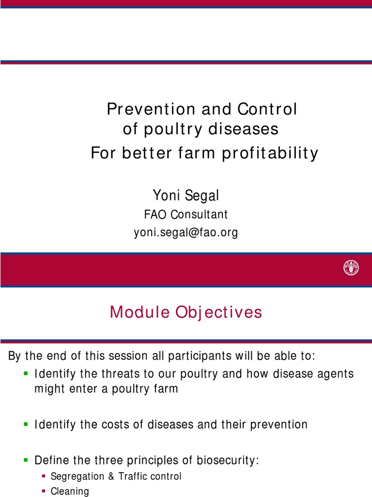 Prevention Control of Poultry Diseases | PDF | Poultry | Poultry Farming