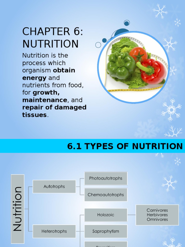 Understanding Human Nutrition Basics | PDF | Ruminant | Digestion