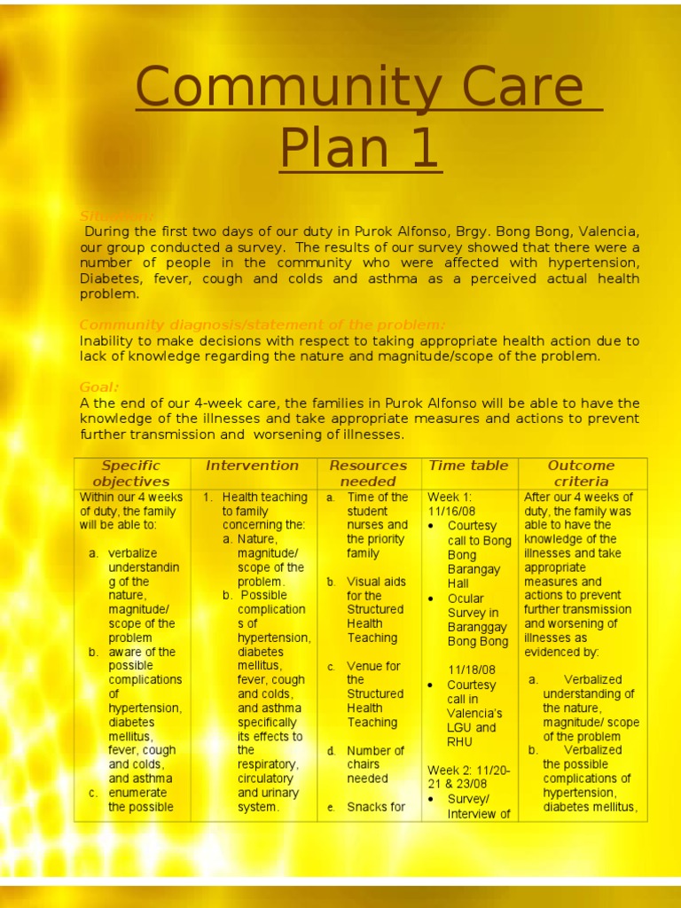 Community Care Plan 1 | PDF | Hygiene | Sanitation