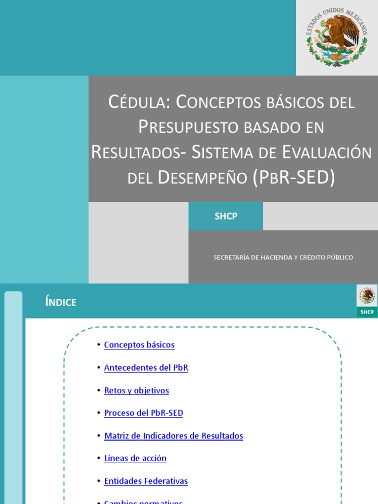 Conceptos Básicos Del PBR | PDF | Planificación | Administración Pública
