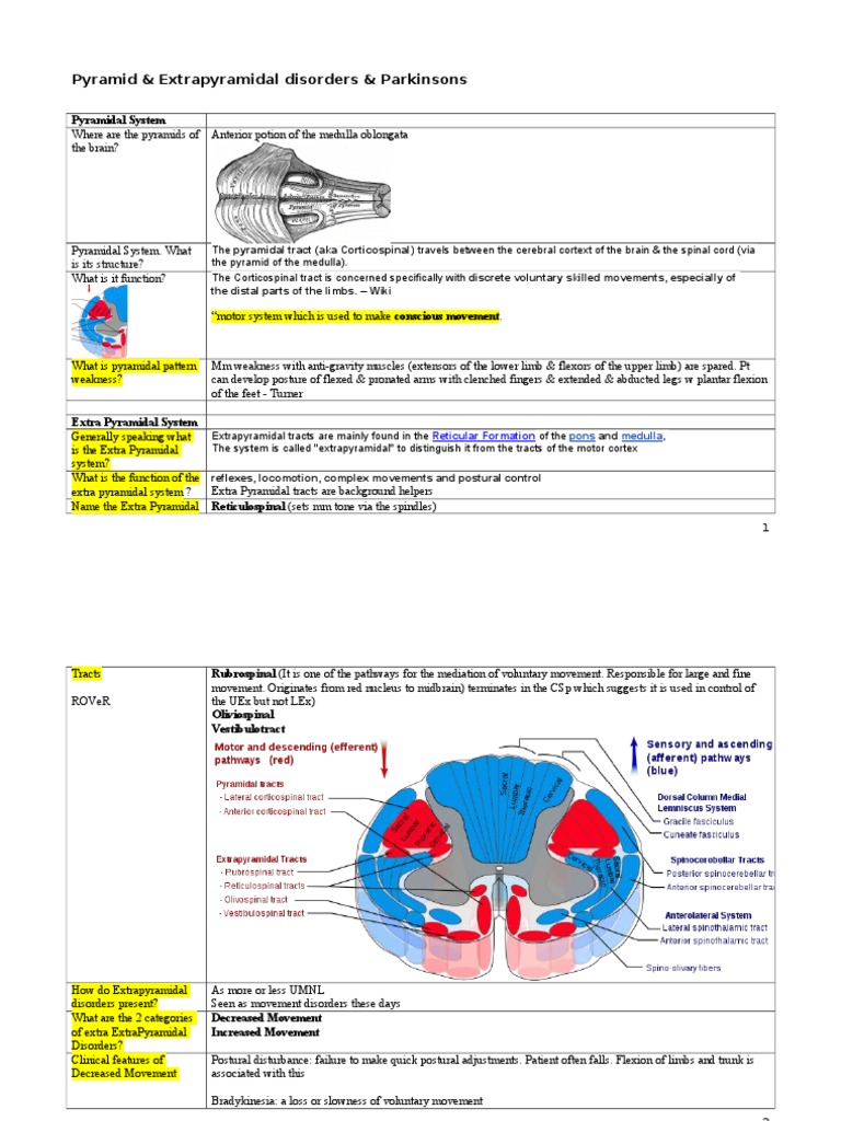 Pyramidal Vs Extrapyramidal Pyramidal Vs Extrapyramidal System