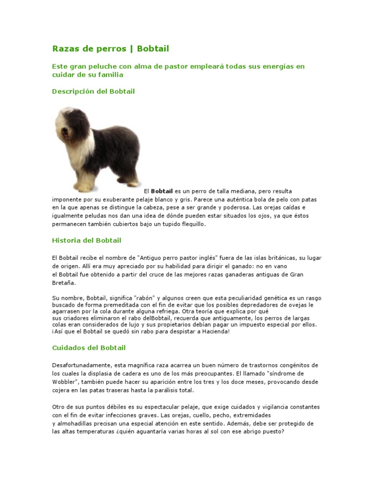 Nuevo Documento de Microsoft Word | PDF | Razas de perros | Perros