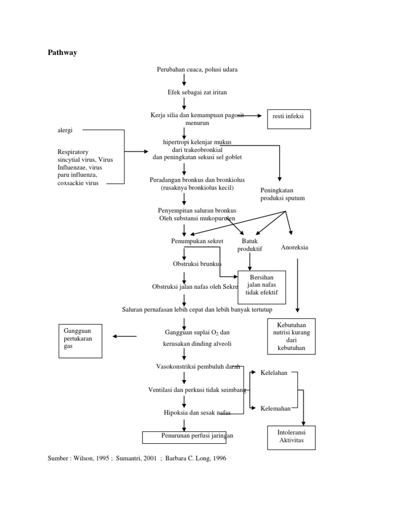 Pathway Bronkitis | PDF