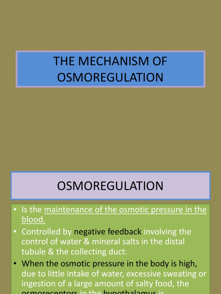 The Mechanism of Osmoregulation | PDF