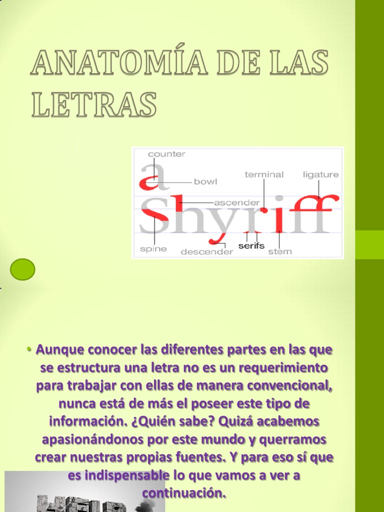 Anatomía de las letras | Tipografía | Serif