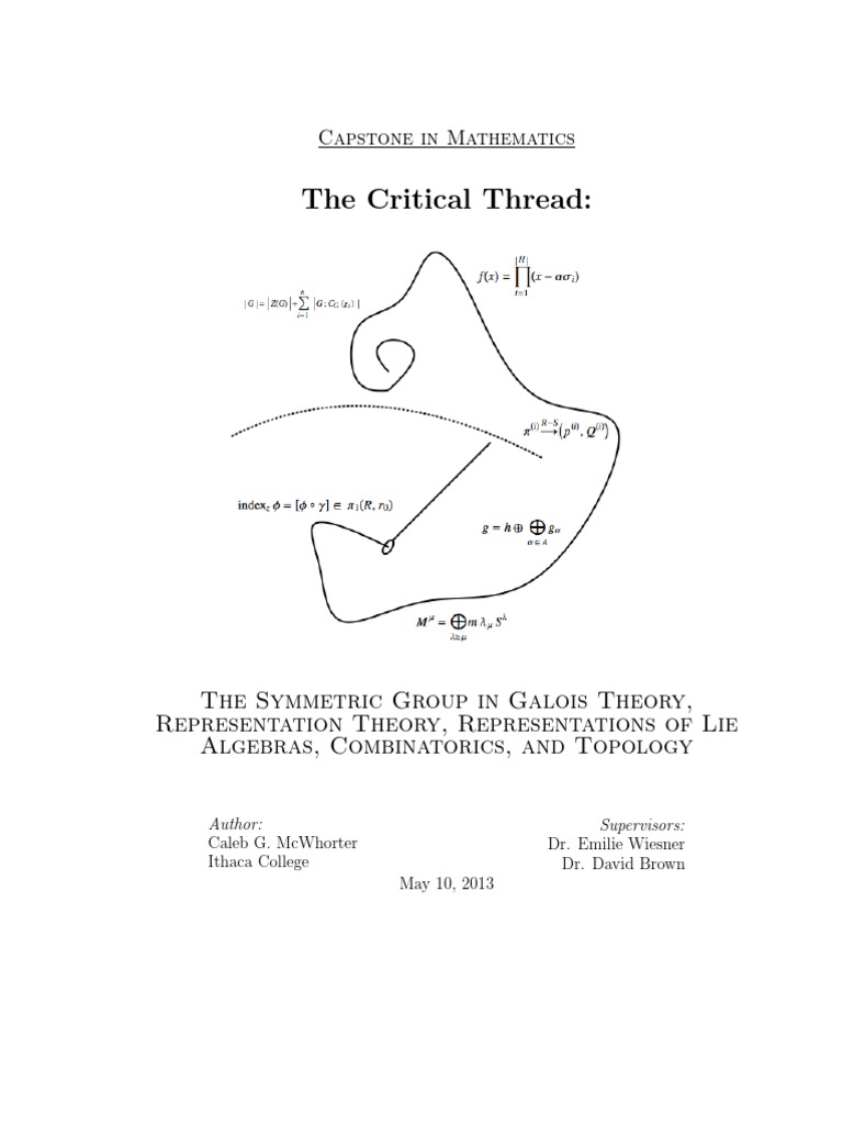 The Critical Thread: The Symmetric Group in Galois Theory ...
