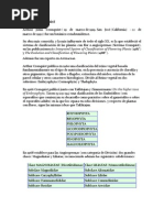 Sistema de Clasificacion de Cronquist 1981 | Fruta | Horticultura y ...