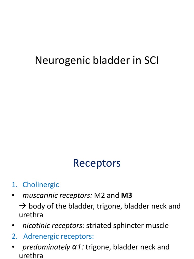 Neurogenic Bladder In Sci Tutorial 2012 Urinary Incontinence Urination