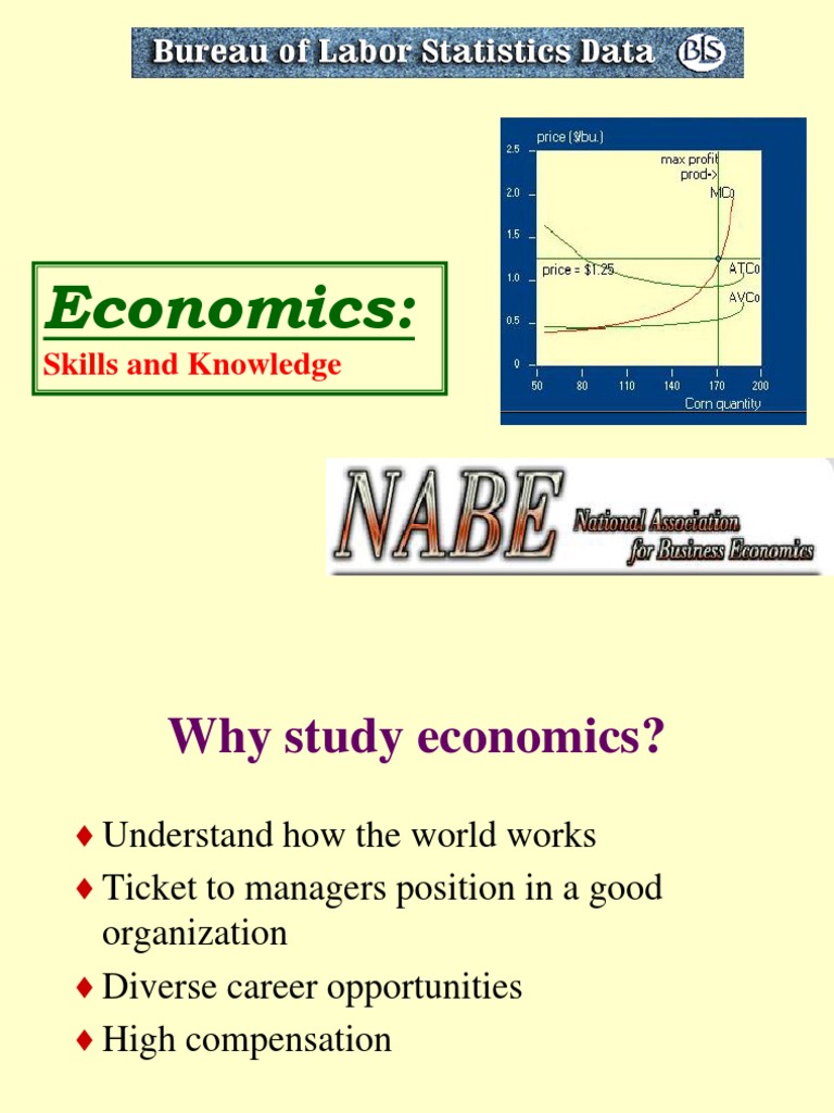 Maximizing Your Potential: How Studying Economics Can Lead to ...