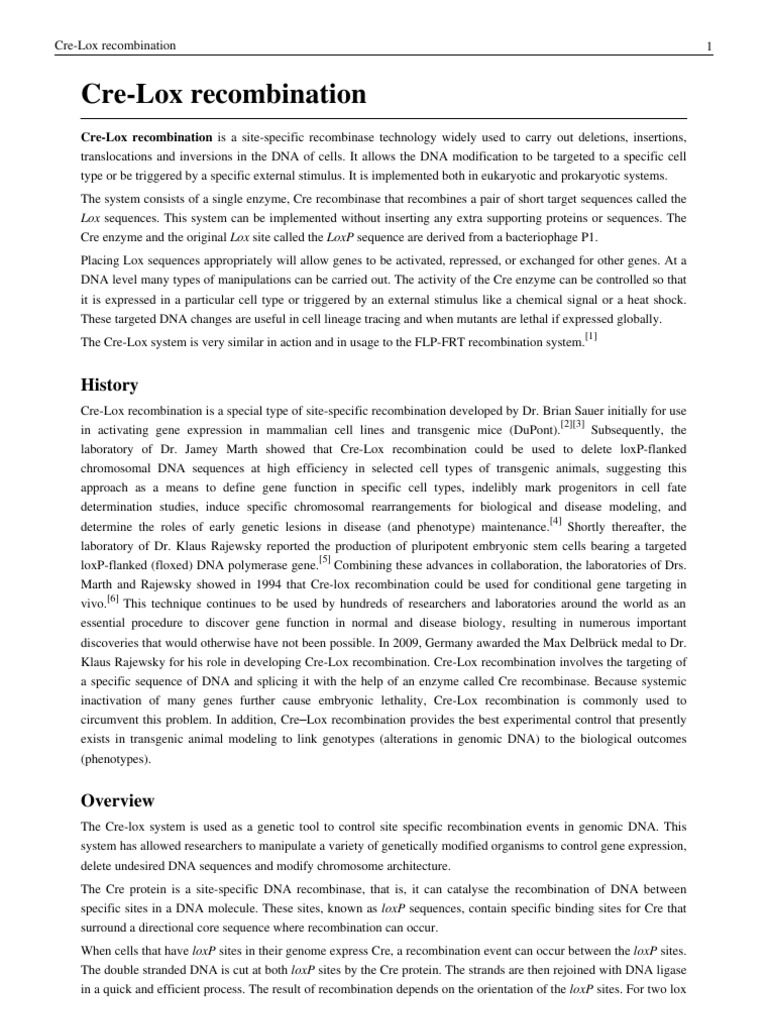 Cre Lox Recombination | PDF | Life Sciences | Molecular Biology
