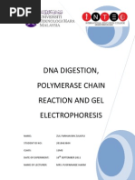 Dna Fingerprinting Worksheet | PDF | Gel Electrophoresis | Dna Profiling