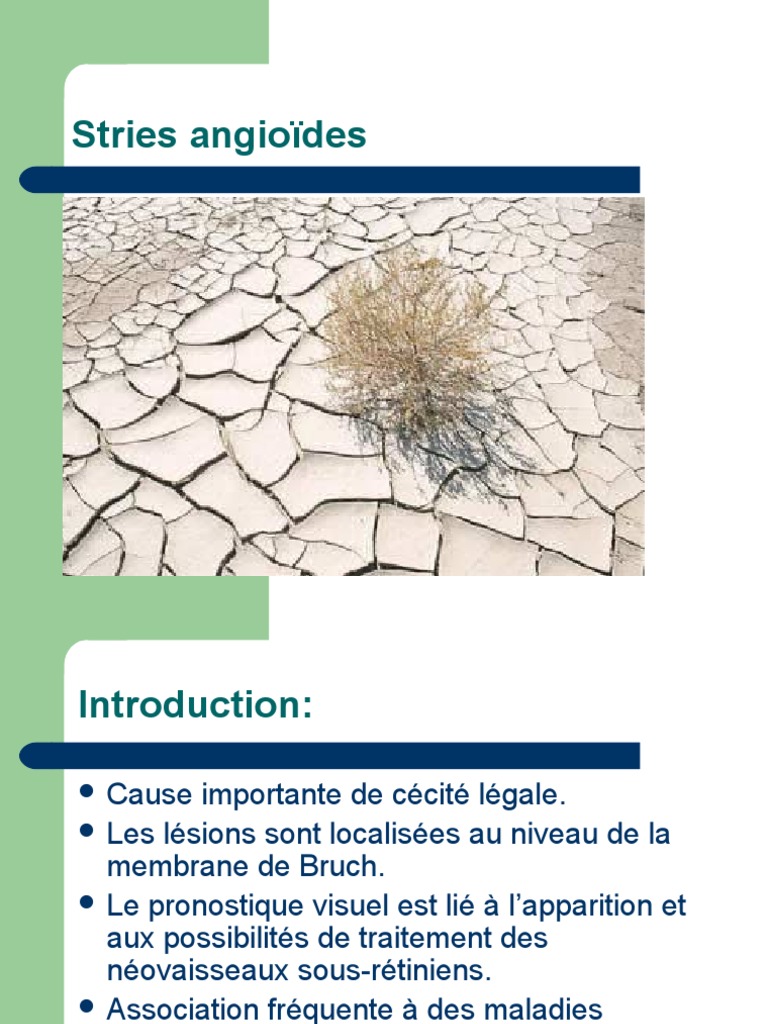 Stries Angioïdes | PDF | Spécialités médicales | Maladies et troubles