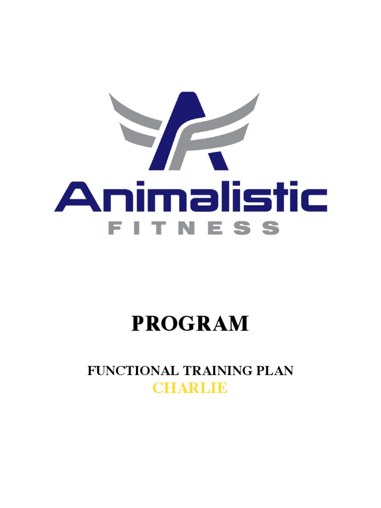 Functional Training Plan C | PDF | Physical Fitness | Physical Exercise
