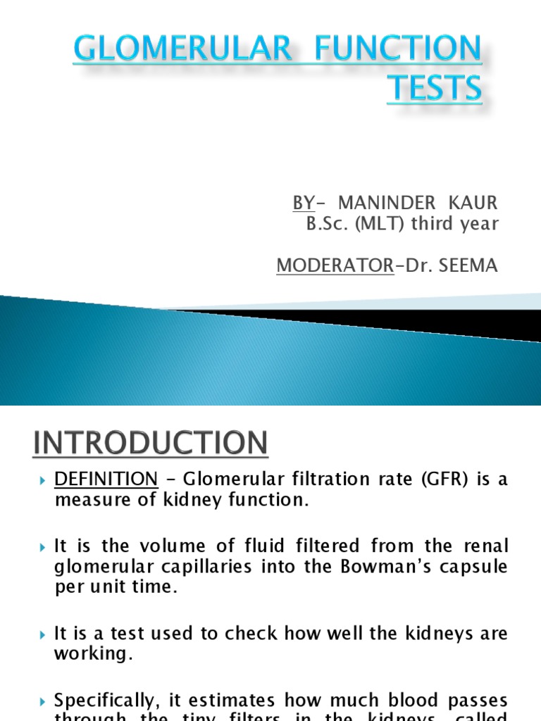 Glomerular Function Tests | Download Free PDF | Renal Function | Creatinine