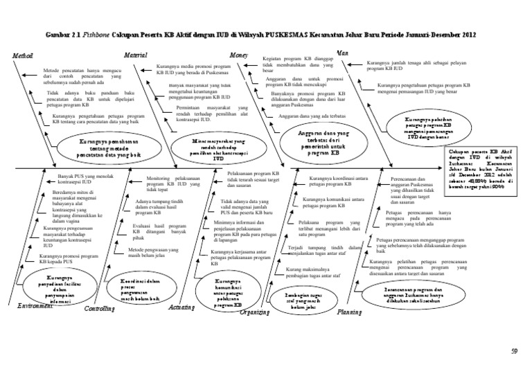 Fishbone Cakupan KB Baru Iud Jan-Des 2012 | PDF
