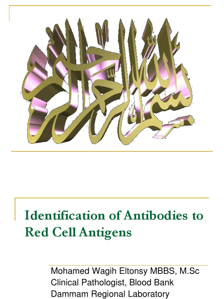 Identification of Antibodies to Red Cell Antigens - Final | Blood Type ...