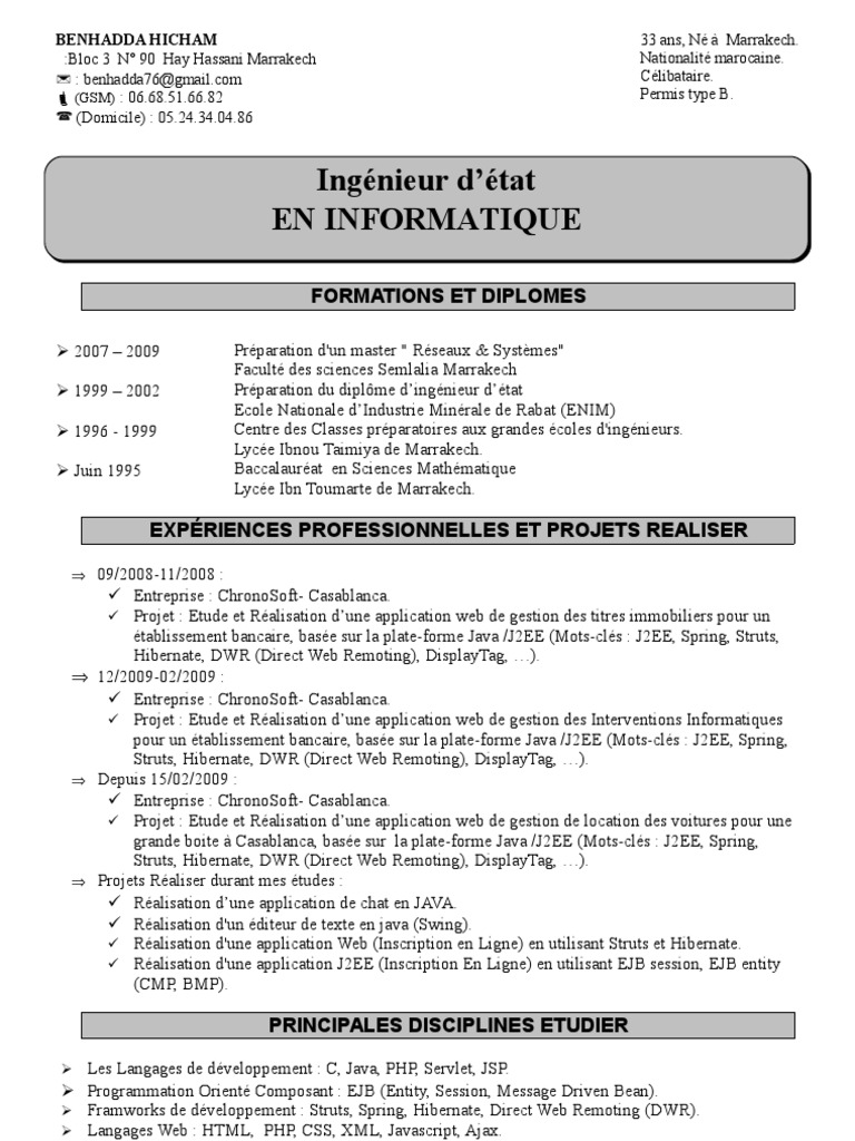 CV Hicham | PDF | Plate-forme (informatique) | Informatique