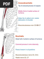 Netter's Anatomy Coloring Book | PDF