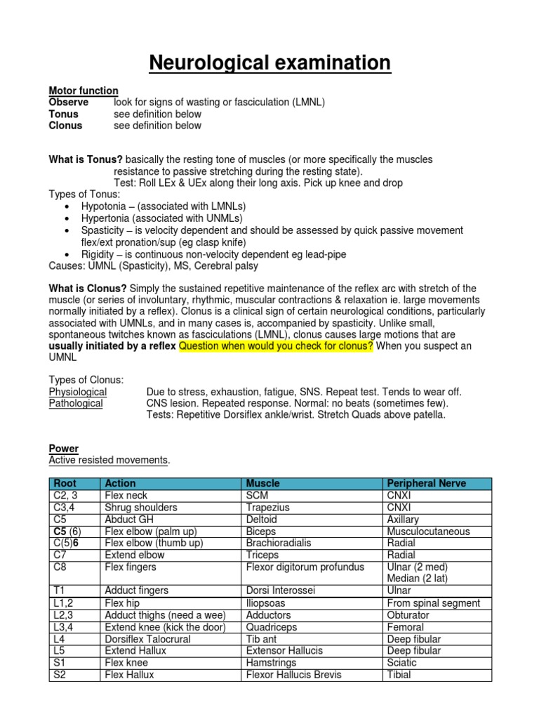Neurological Exam | Foot | Human Leg