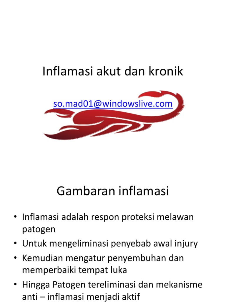 Inflamasi Akut Dan Kronik | PDF
