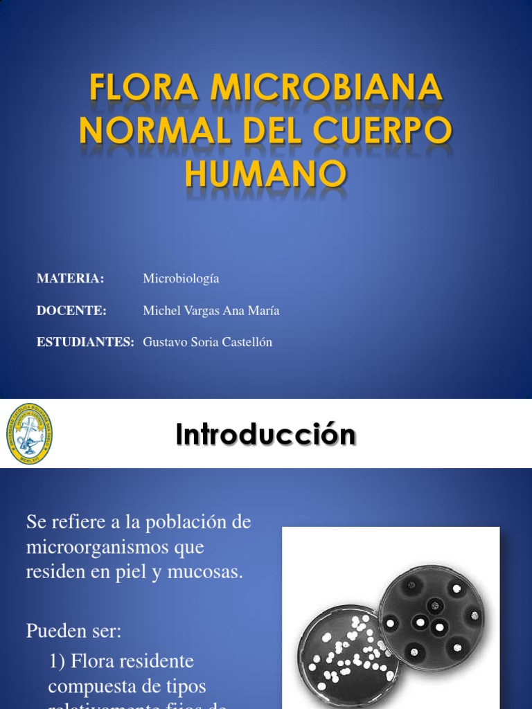 Flora Microbiana Normal del Cuerpo Humano | PDF | Microorganismo ...