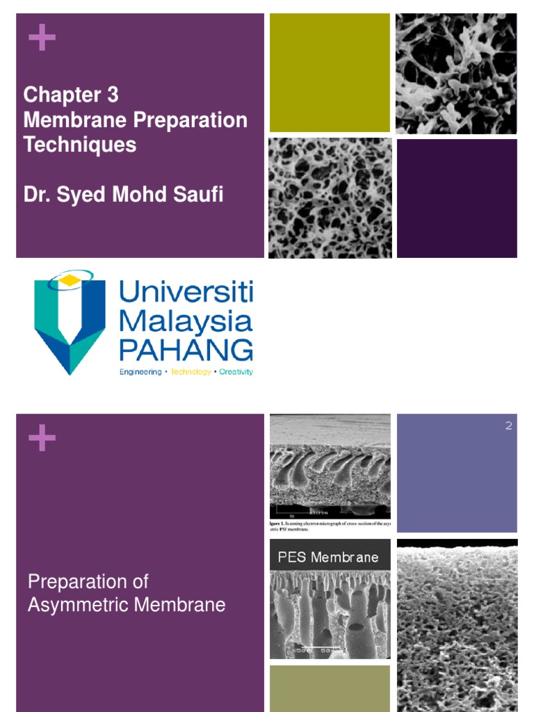03 Chap 3 Membrane Preparation Phase Inversion | PDF | Membrane ...
