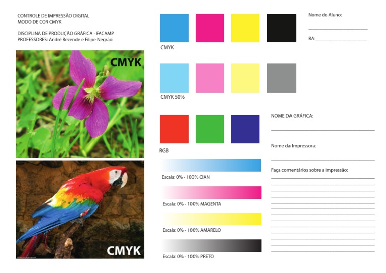 Teste de Impressão CMYK e Cores | PDF
