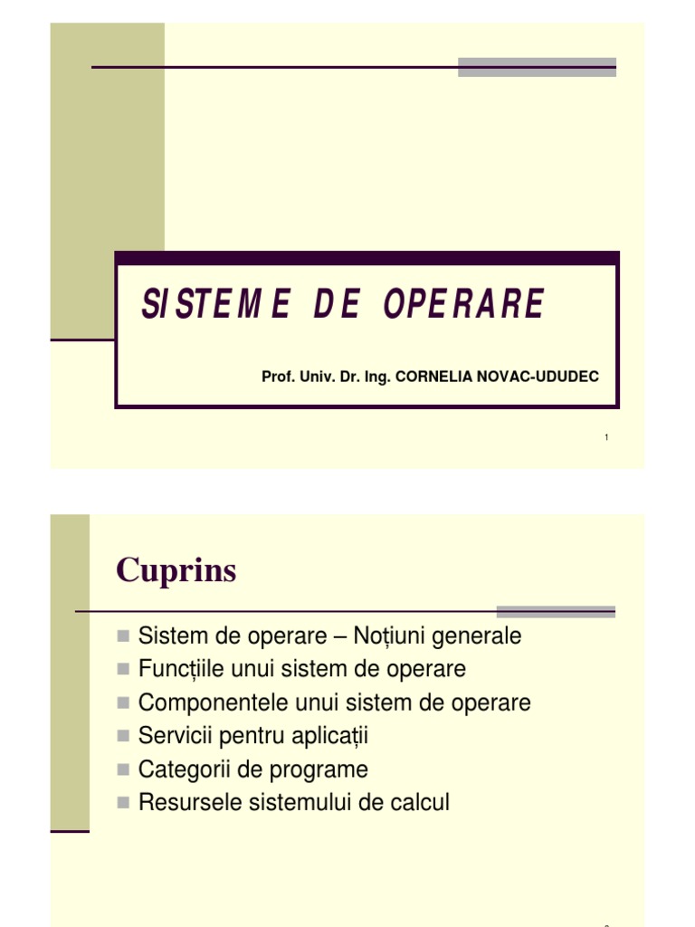 Sisteme Operare - Novac | PDF