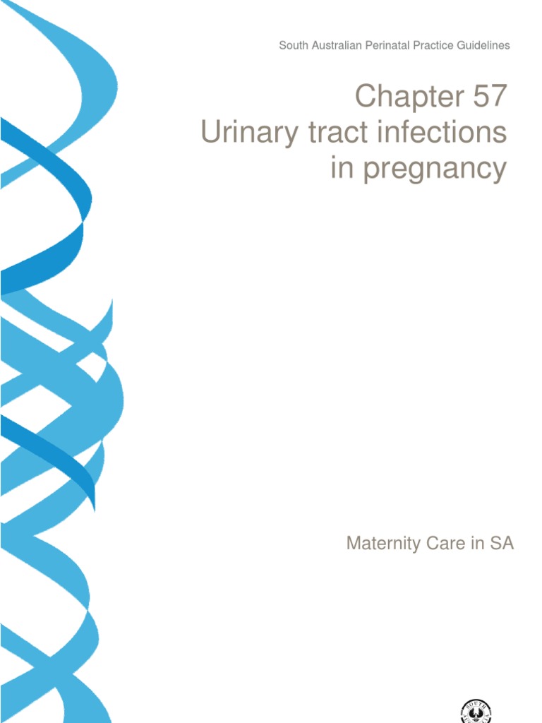 Treatment of Pregnant UTI | PDF | Urinary Tract Infection | Urinary System