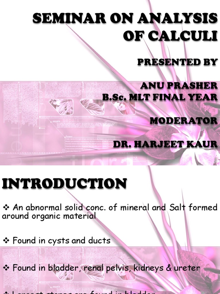 Introduction of Calculi | PDF | Kidney | Medical Specialties