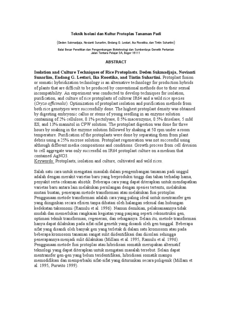 Teknik Isolasi Dan Kultur Protoplas Tanaman Padi | PDF