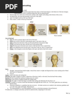 Haircutting Workbook | PDF | Hairstyle | Scissors