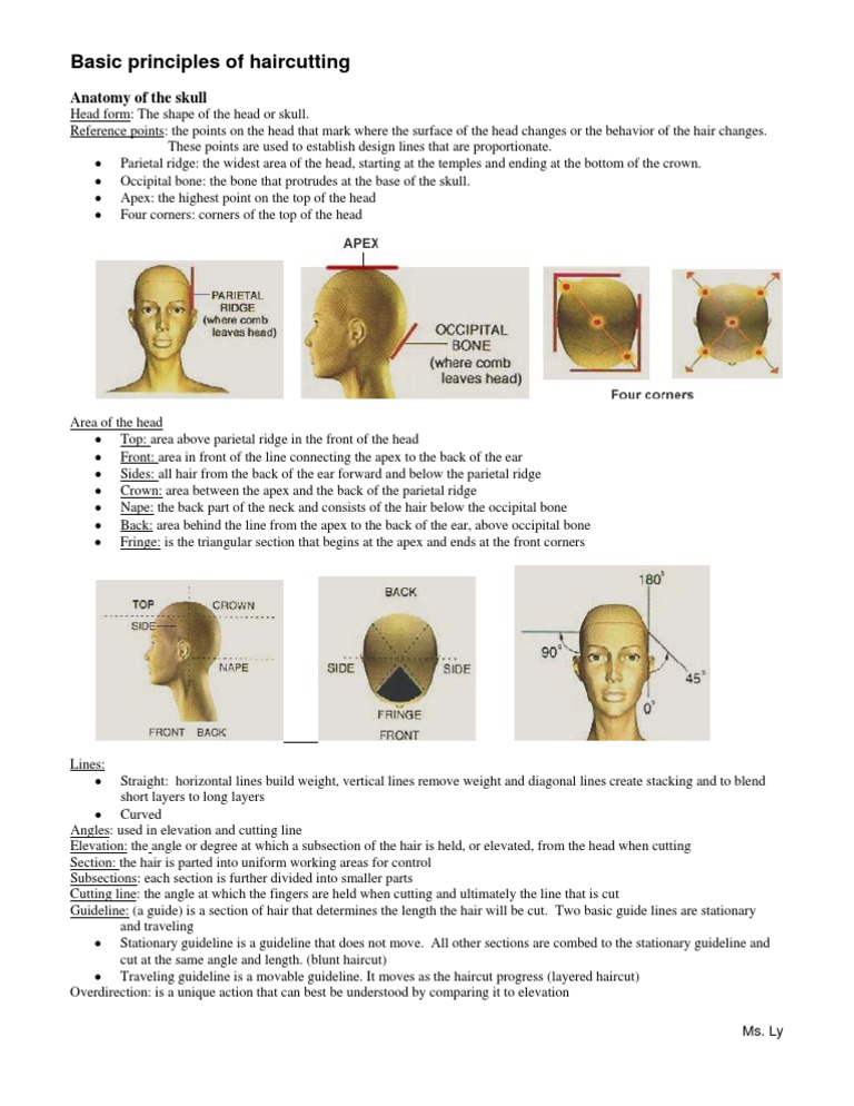 Basic Principles of Haircutting | PDF