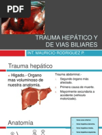 Incisión Rocky Davis | PDF | Medicina CLINICA | Anatomía